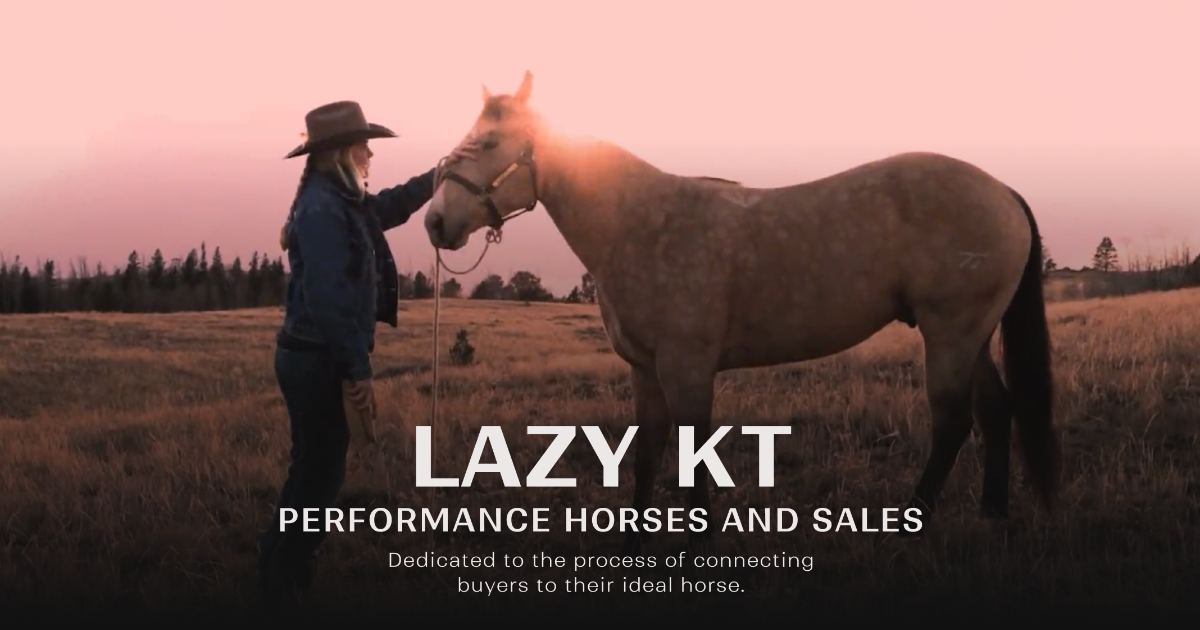 Lazy KT Performance Horses & Sales